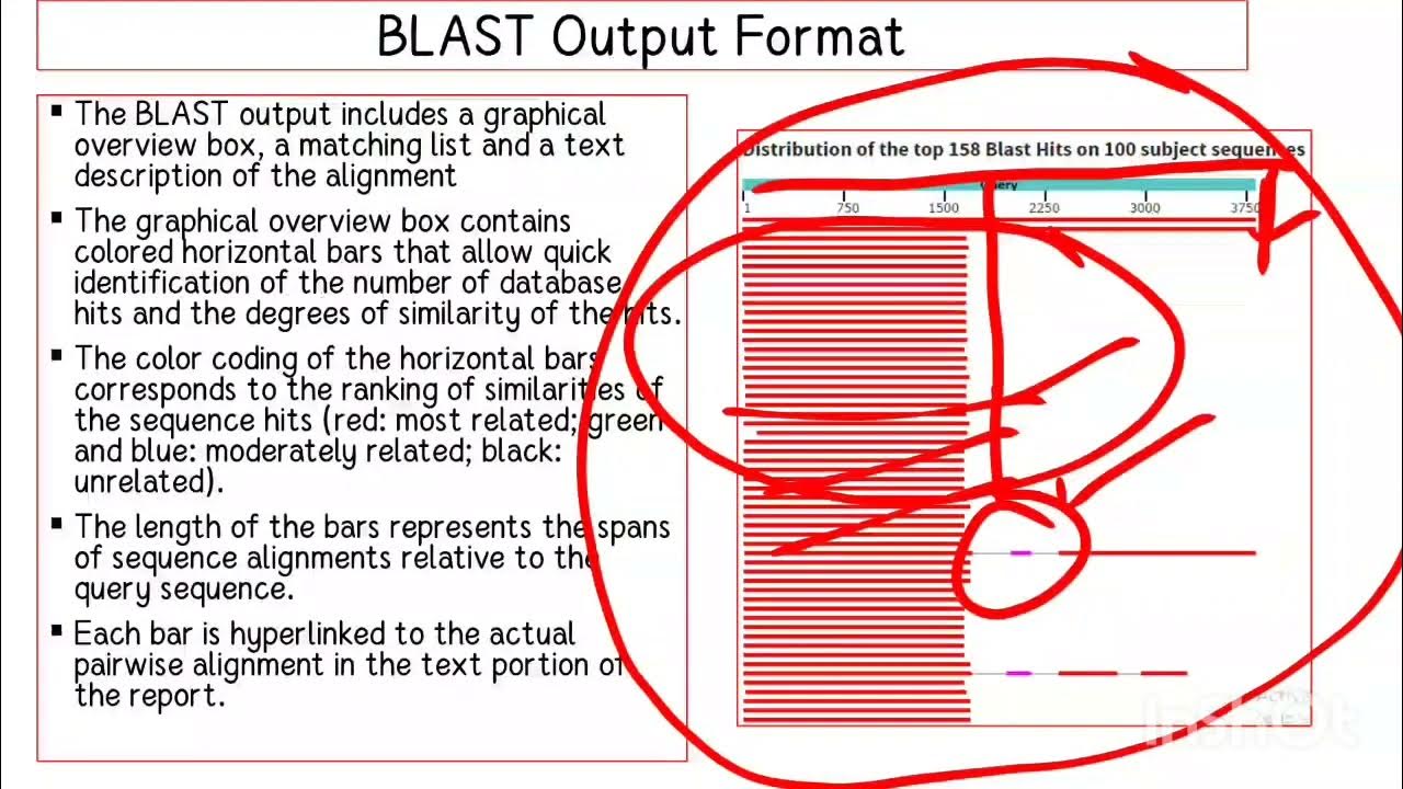 Blast Output Format Bioinformatics Youtube