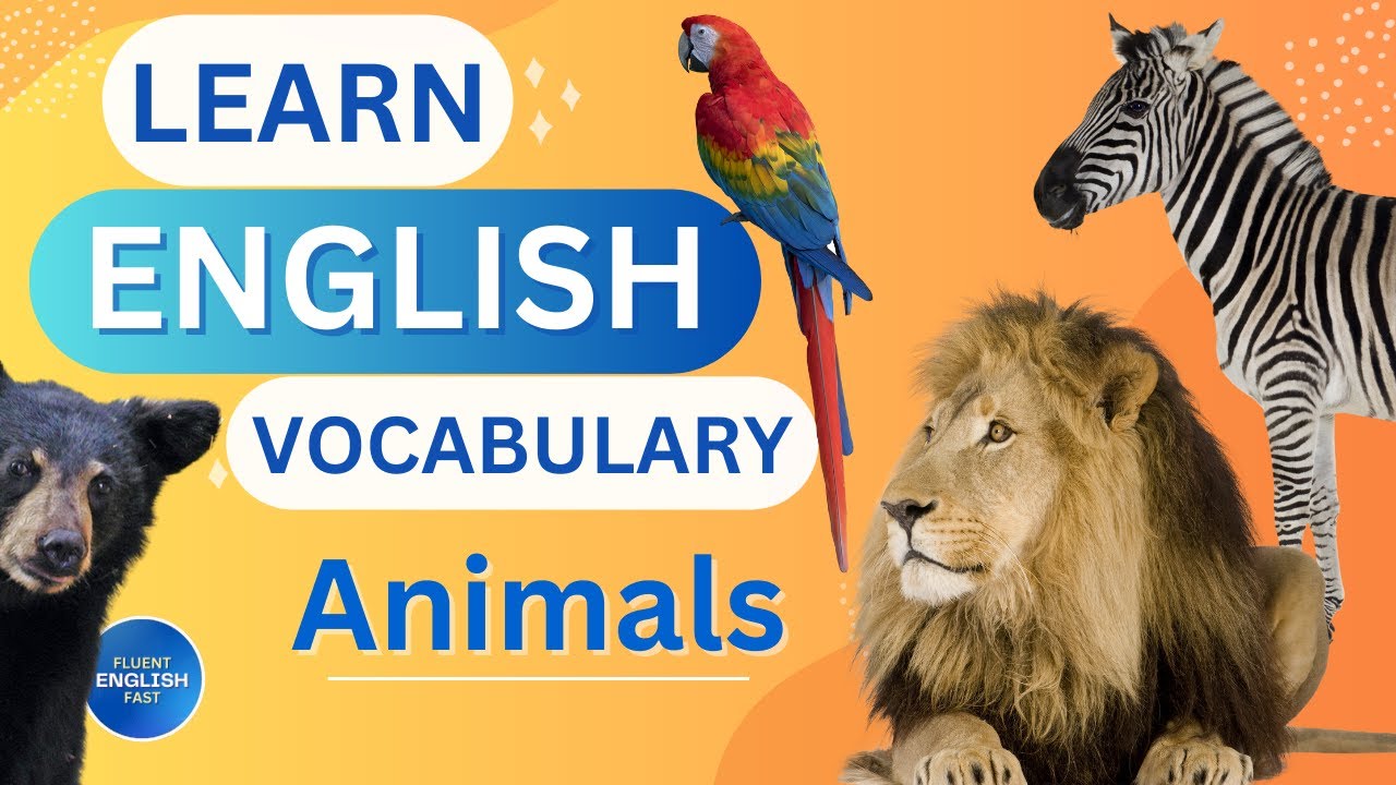 Learn English Vocabulary for Beginners: Wild Animals | Aprender ...