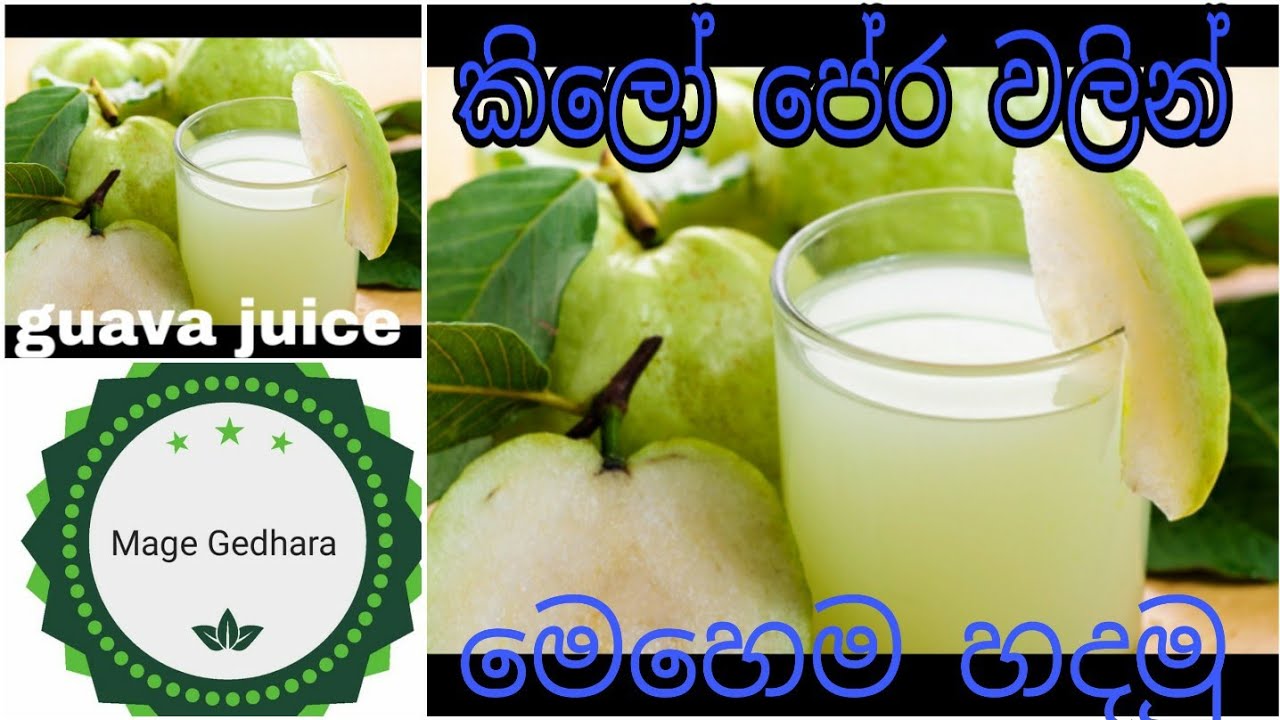 කිලෝ පේර වලින් රසට පේර ඡූස් එකක් හදමු.kilo peara juice. GUAVA JUICE ...
