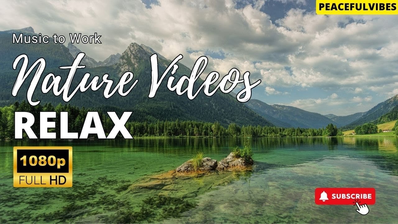 NATURE TERAPY: Relaxing Full Motion Forestry with Natural Sounds, Study ...