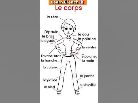 Body parts in French 🇨🇵🧍‍♂️| Learn new French Vocabulary with Moh and ...