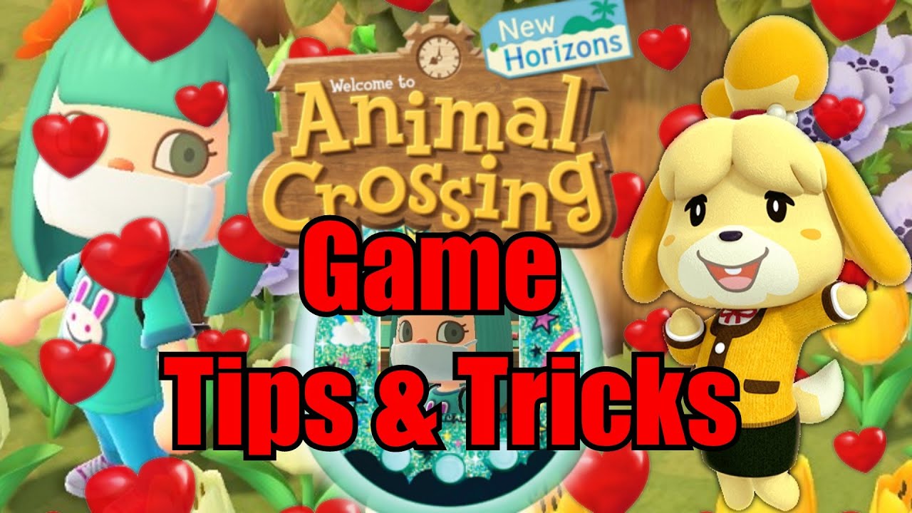 Animal Crossing: New Horizons - Tips and Tricks for Starting Out! - YouTube