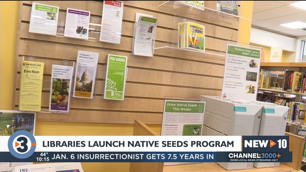 Madison libraries launch native seeds program - YouTube