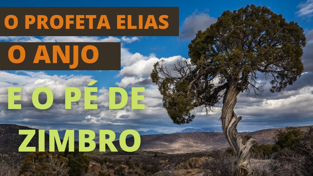 DEUS ENVIA UM ANJO PARA CUIDAR DE ELIAS DEBAIXO DO PÉ DE ZIMBRO ...