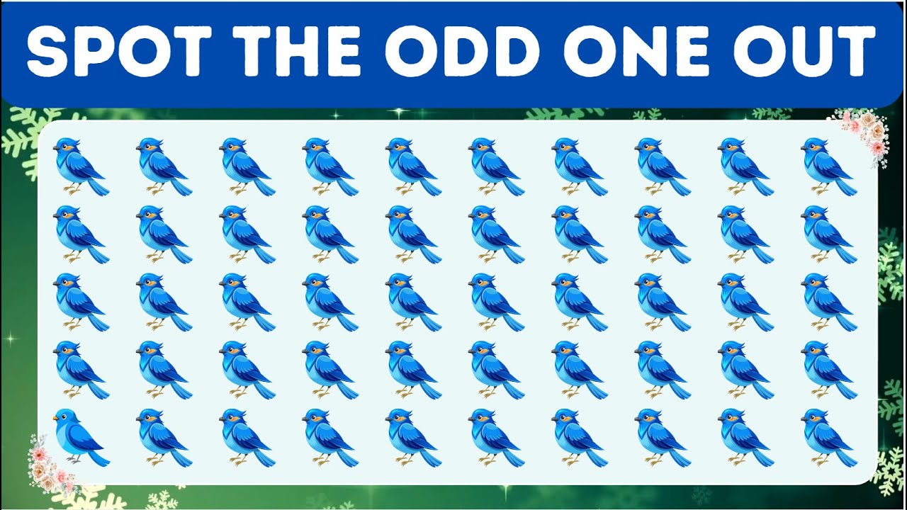 Find The Odd One Out Challenge ?#quiz #spottheoddoneout # ...