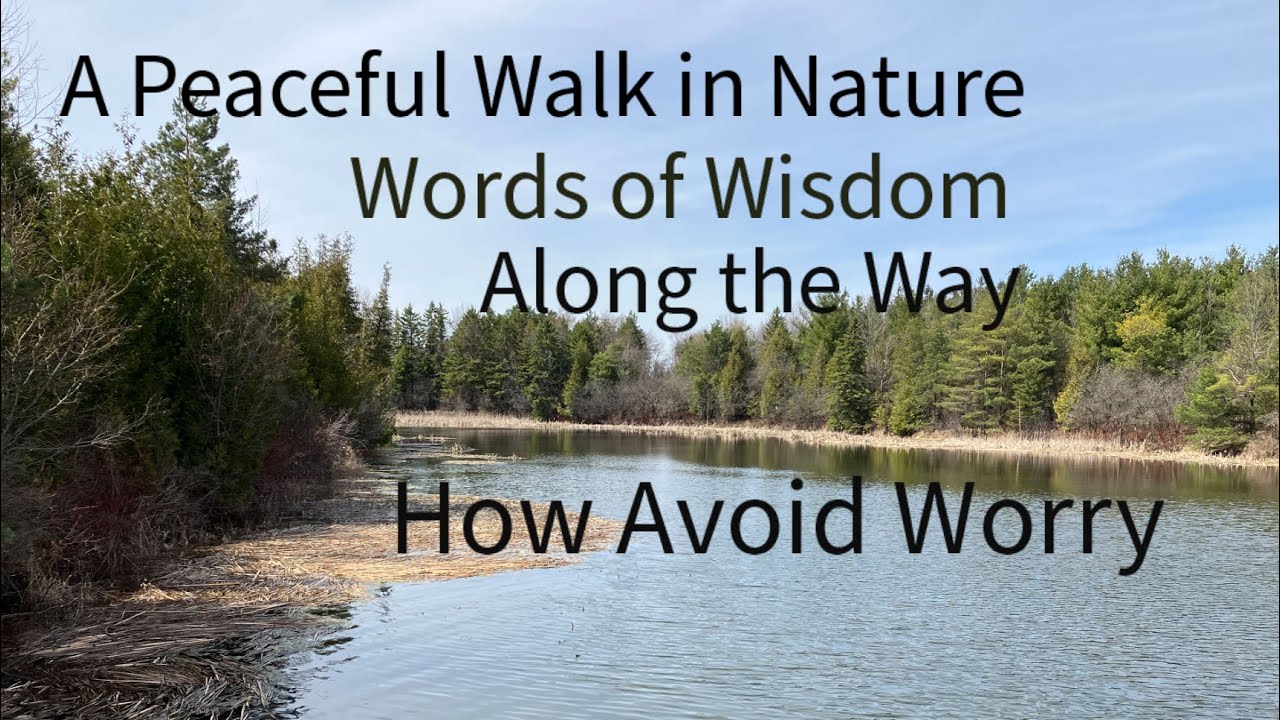 Two Seniors Hiking; Peaceful Nature Walk; 7 things you can do to avoid ...