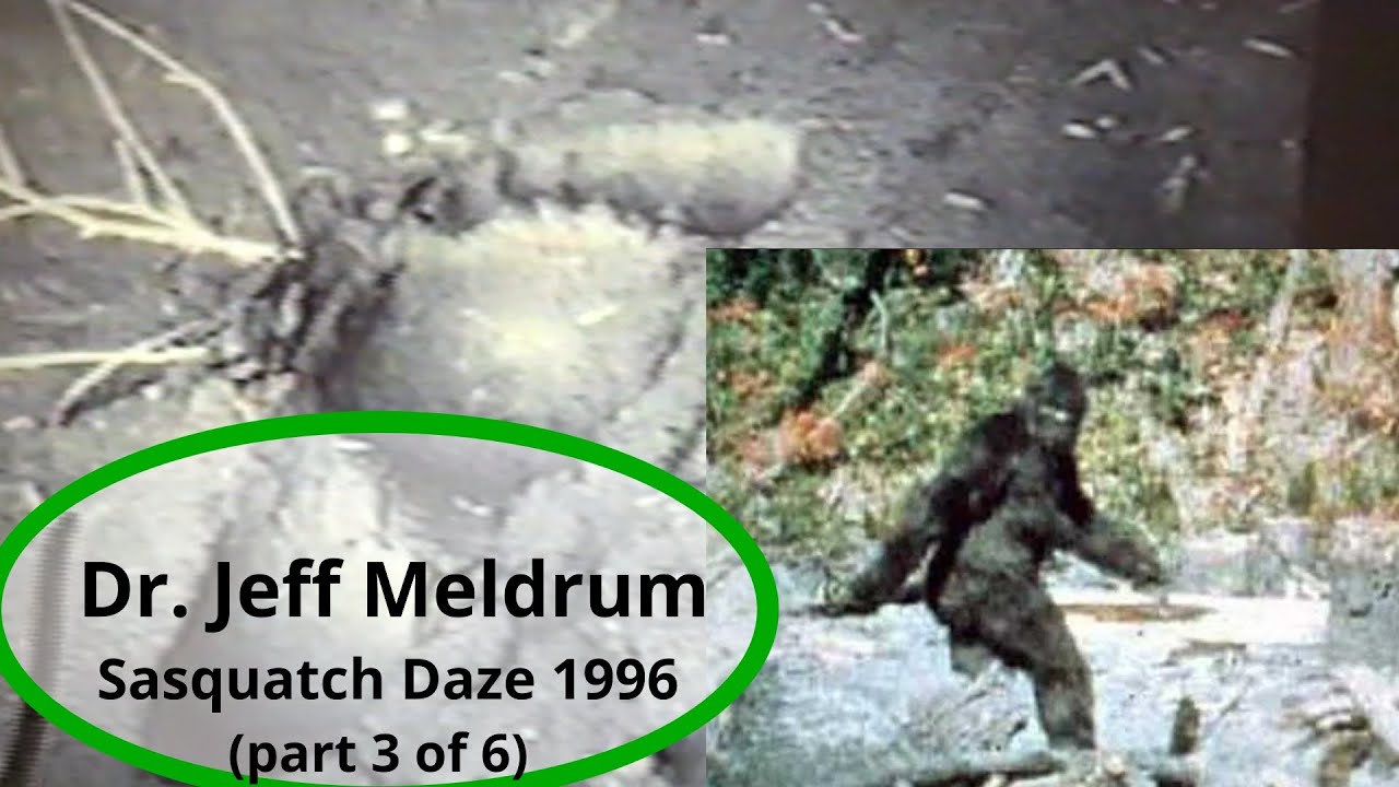 1996 Sasquatch Daze with Dr. Jeff Meldrum (Part 3 of 6) - YouTube
