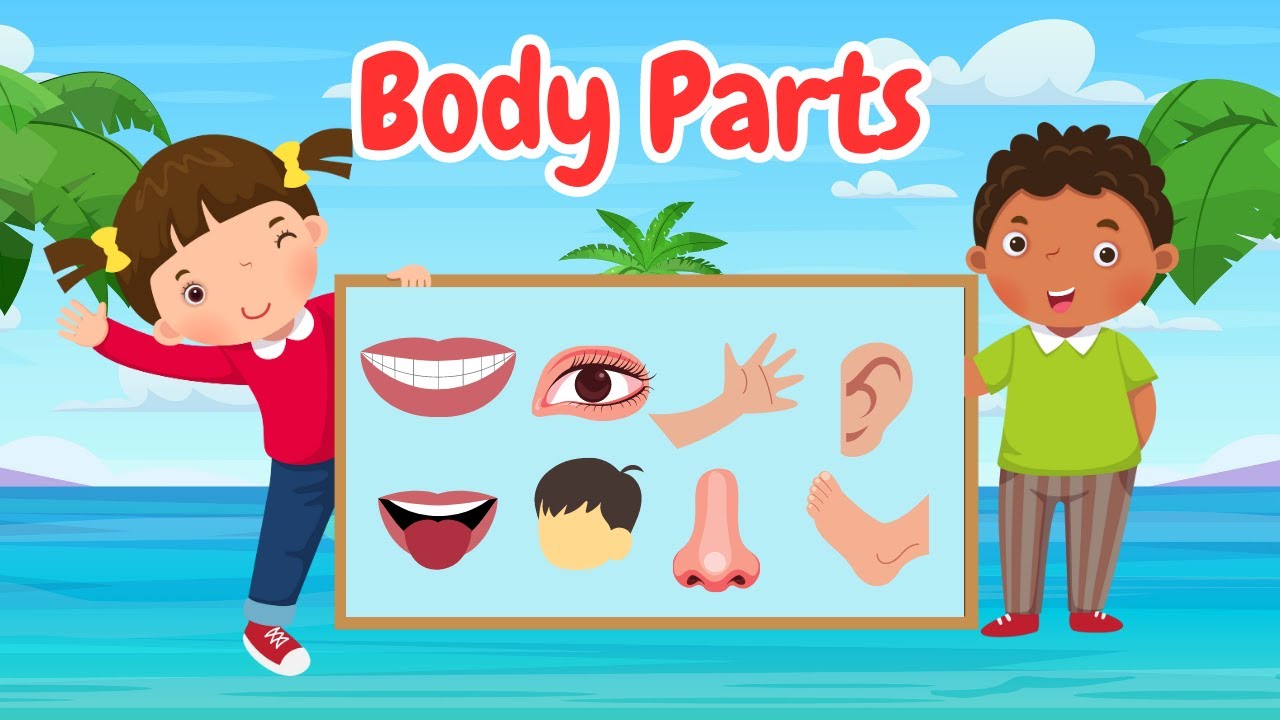 Body Parts for Kids - Learn Parts of the Body - Human Body Parts - Moko ...