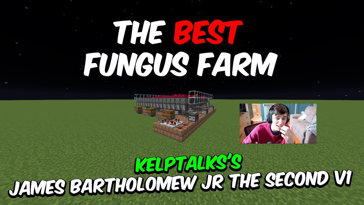 The Best Fungus Farm There Is In the Donut SMP! - YouTube