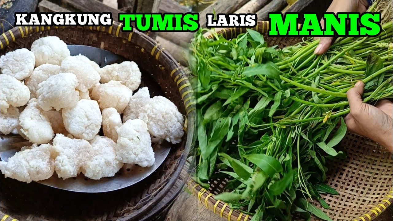 KANGKUNG tumis LARIS manis #DAPURGOSONG SURVIVAL COOKING - YouTube