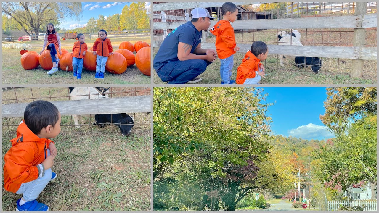 FUN day out with family at YAHOO farm USA 2022 - YouTube