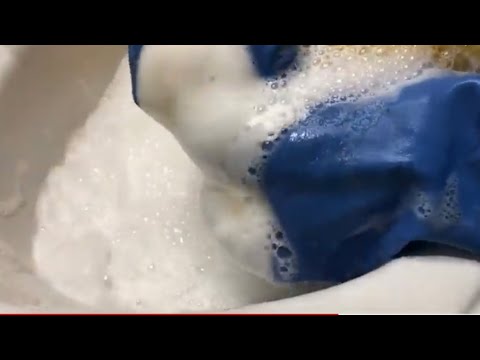 ASMR Pinesol sponge rinse with sudsy overflow 💦🫧 - YouTube