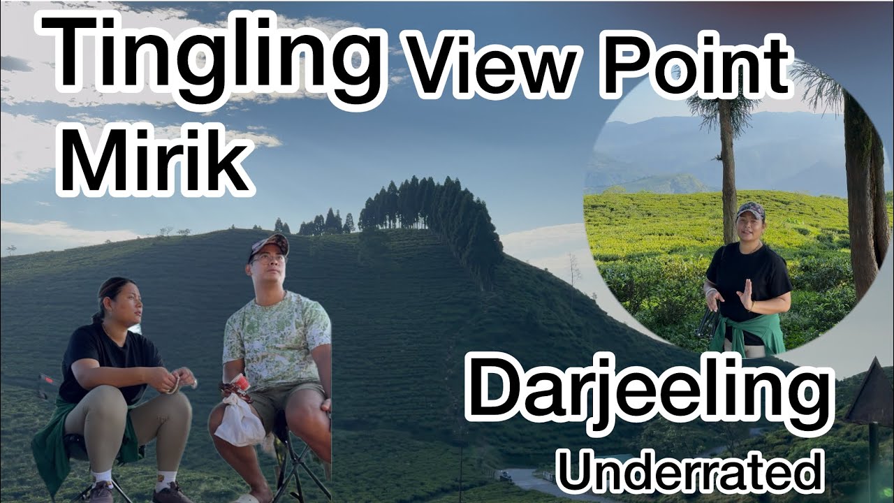 Mirik View Point 🌲🌲 || Underrated || Must visit place || Darjeeling 🌳🌲 ...