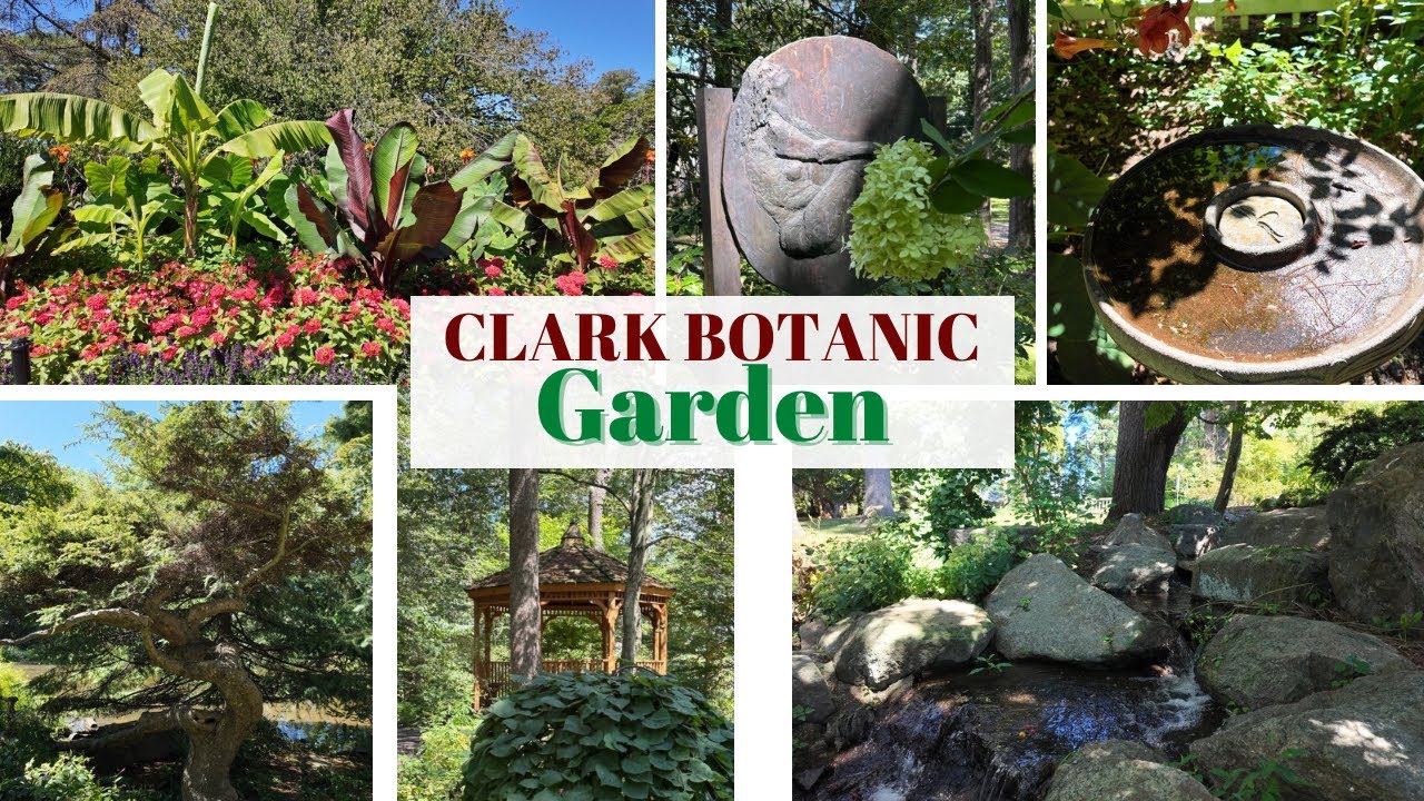 Discover Clark Botanic Garden in Albertson, NY🌸 - YouTube