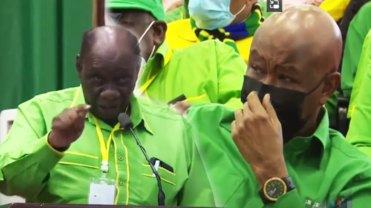 Maneno ya Stephen Wasira akimzungumzia Kinana kwenye mkutano wa CCM ...