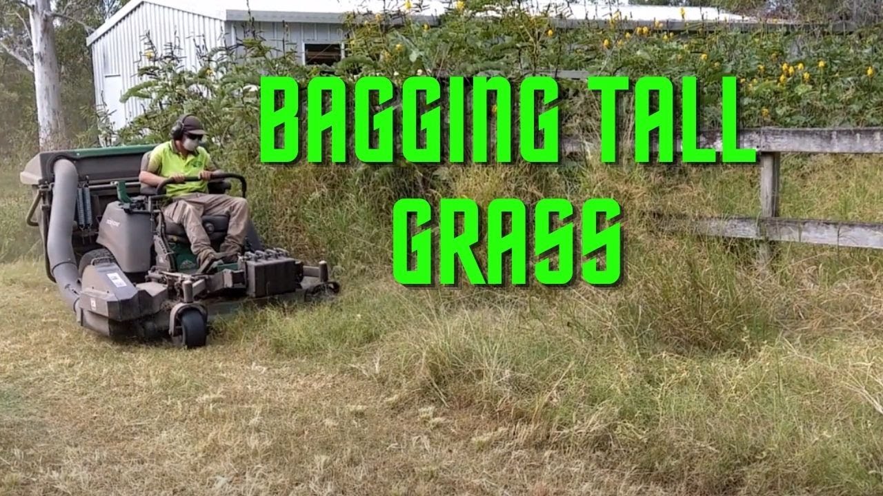 Bagging Tall Grass - YouTube