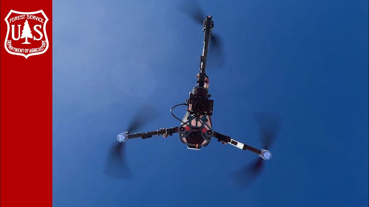 An Aerial Eye on the Forest - YouTube