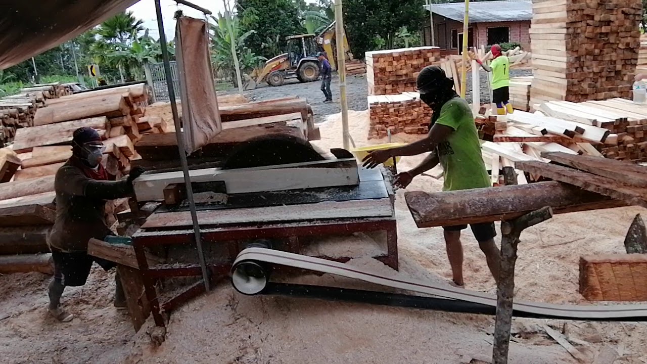 Aserrador de madera balsa El Carmen manabi - YouTube