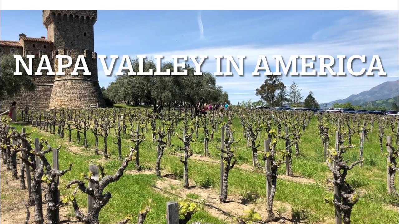 Stunning Napa valley tour in America👌 - YouTube