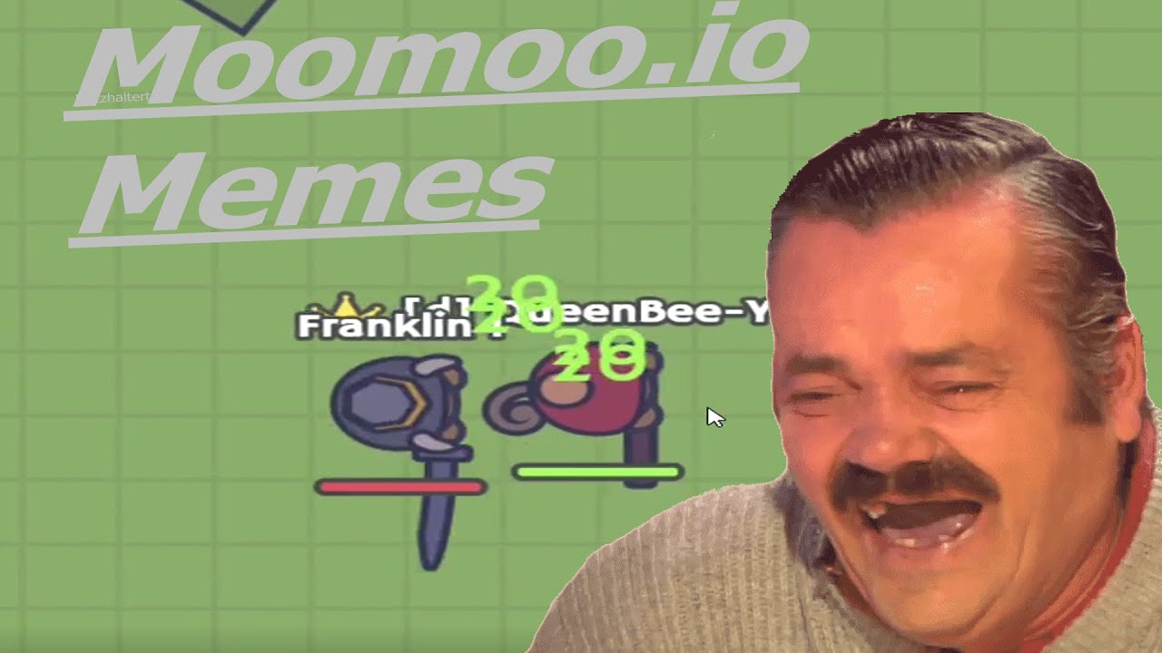 Moomoo.io | Memes part 1 | QueenBee - YouTube