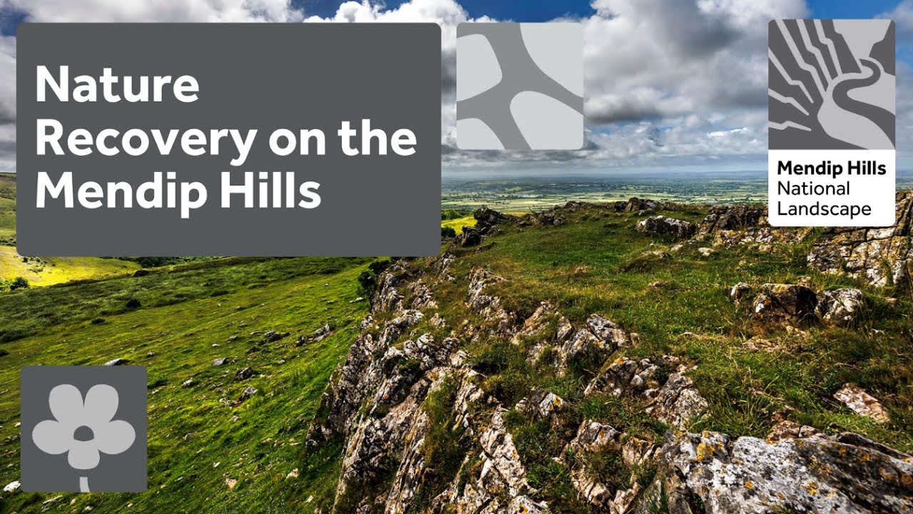 Nature Recovery on the Mendip Hills National Landscape - YouTube