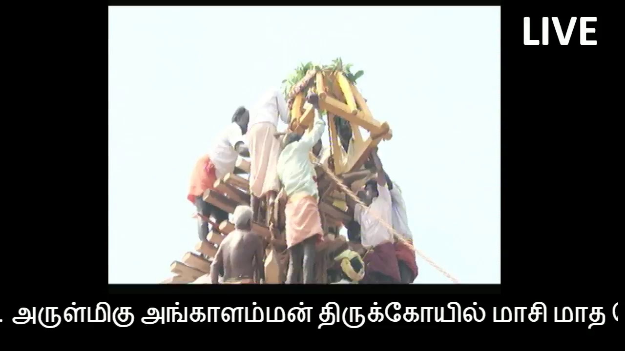 MELMALAYANUR ANGALAMMAN TEMPLE MASI FESTIVAL LIVE - YouTube