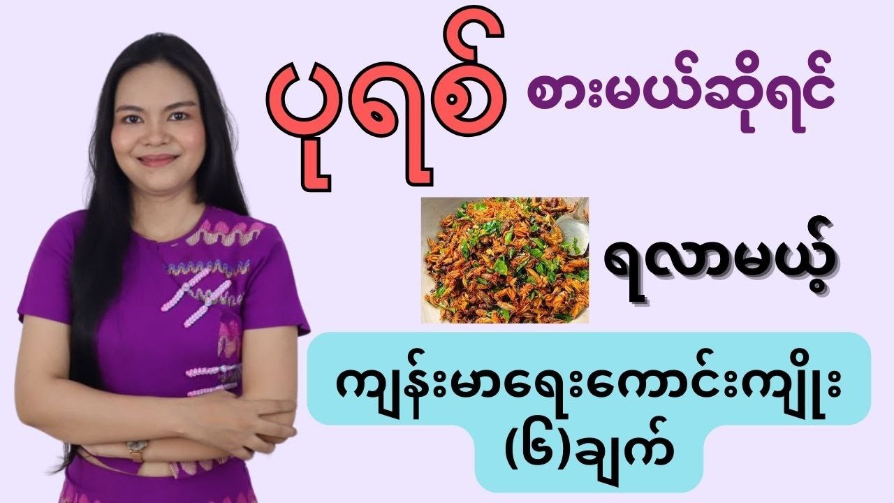 ပုရစ်စားမယ်ဆိုရင် ရနိုင်မယ့် ကျန်းမာရေးကောင်းကျိုး၆ချက် Youtube