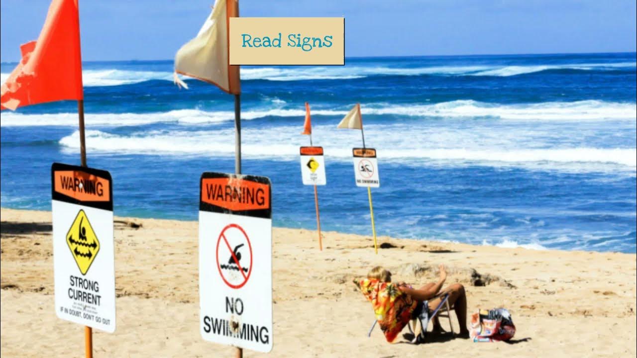 Virtual Field Trip | Learning about the BEACH - YouTube