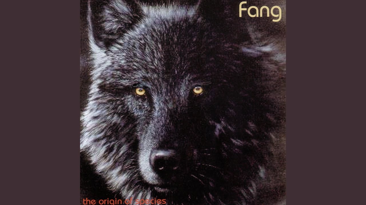 Am I Original? - YouTube