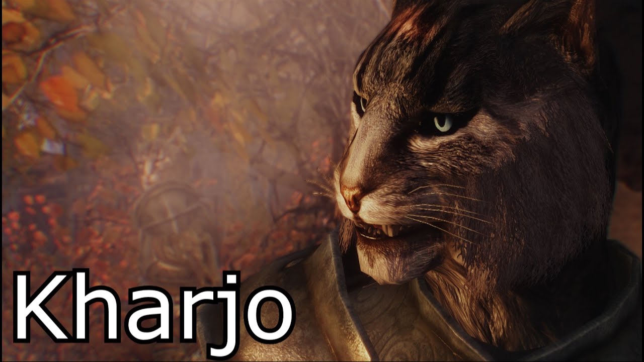 (Skyrim) Voz y frases de Kharjo en español (SPOILERS) - YouTube