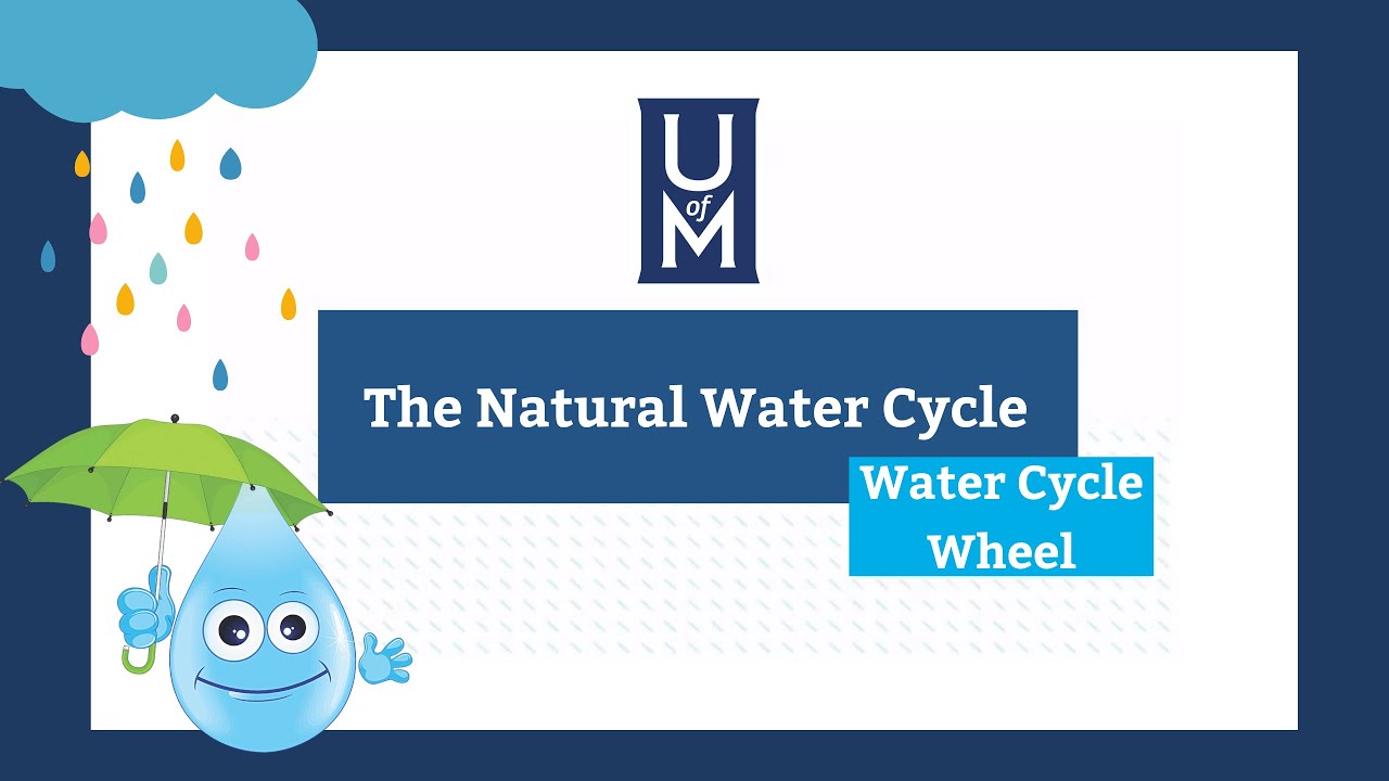 Water Cycle Wheel - Intro Lesson to the Water Cycle - YouTube