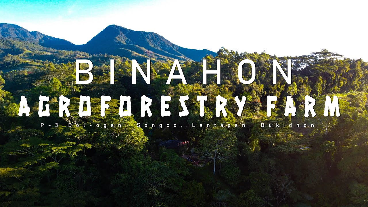 When I visit Binahon AgroForestry Farm(BAFF) in Lantapan, Bukidnon ...