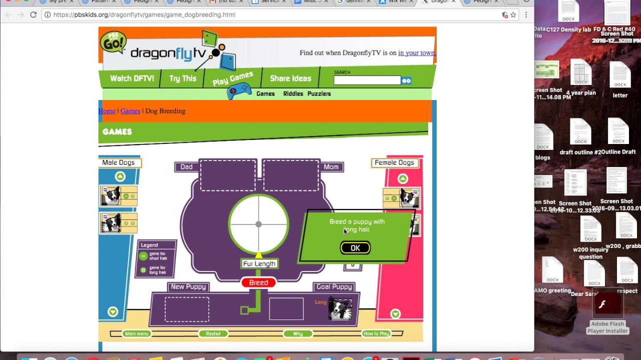 dragon fly tv - YouTube