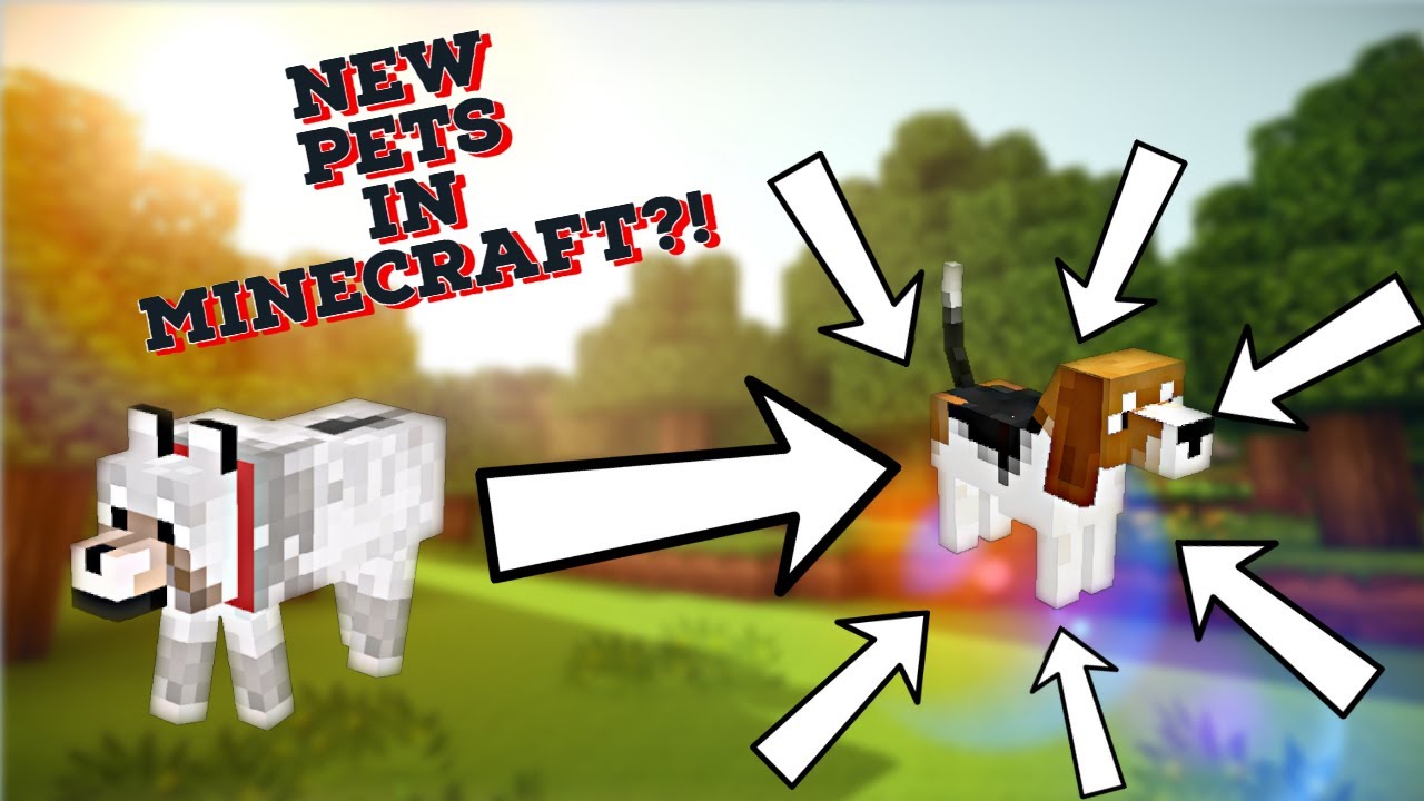*PETS* Mod in Minecraft! Bedrock - YouTube