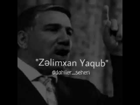 Zəlimxan Yaqub