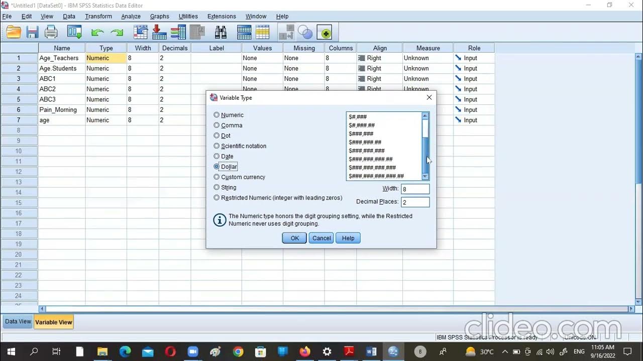 Detail Explanation of the variable view of SPSS in Urdu language for beginners - YouTube