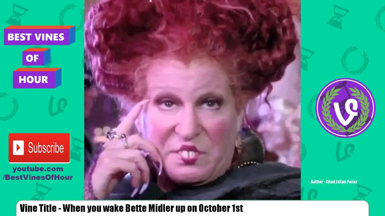 Best Vines of Hour #7 | 02 October 2015 | Top 20 Vine Compilation by ...