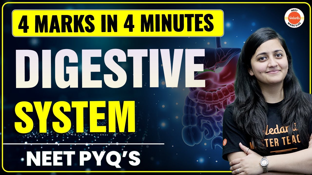 Digestive System - Digestion and Absorption Class 11 | 4 Marks in 4 ...