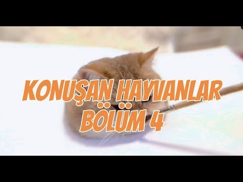 Konuşan Hayvanlar || Bölüm 4
