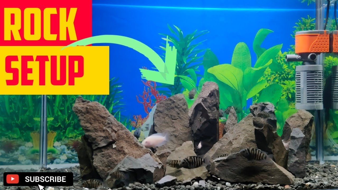 Rock Setup For Aquarium | Fresh Water Tank Setup | Aquarium me setup ...