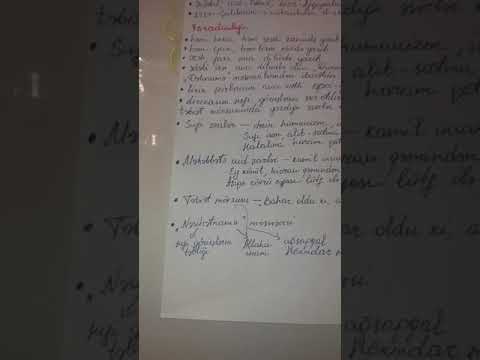 Şah İsmayıl Xətayi.