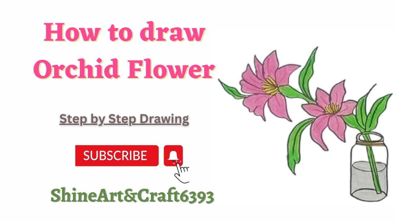 How to draw Orchid Flower | Flower drawing - YouTube