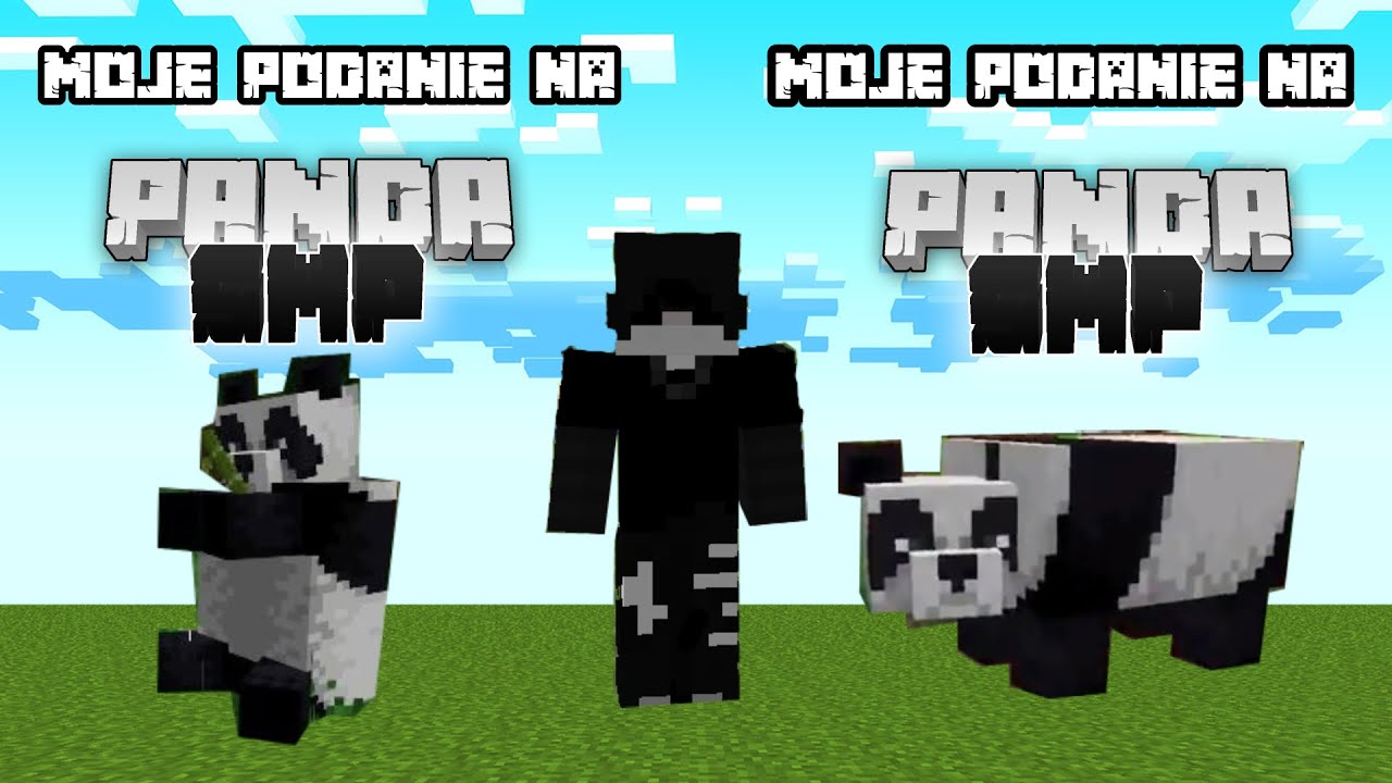 MOJE PODANIE NA PANDA SMP 2 - YouTube