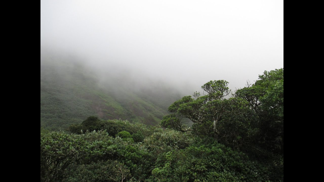 Sudden Fog In Kerala Mountain (Podhigai Hills) INDIA - YouTube