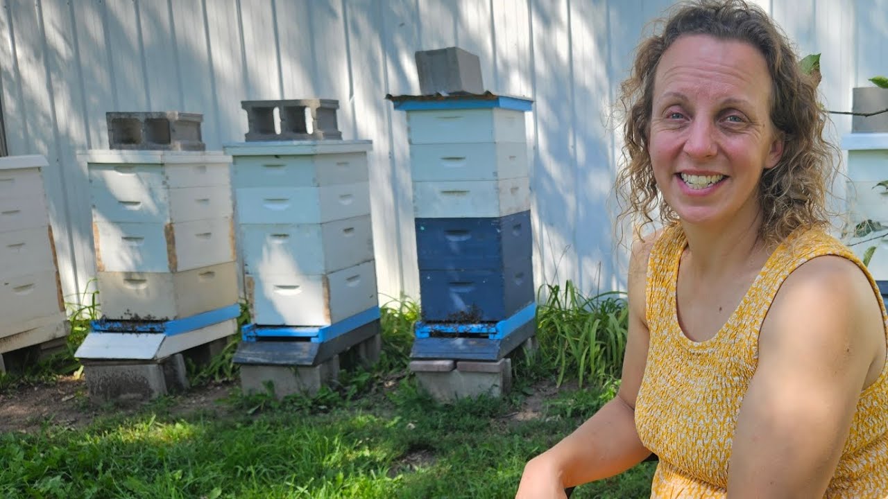 Homestead Beekeeping: Let's talk about bees! - YouTube