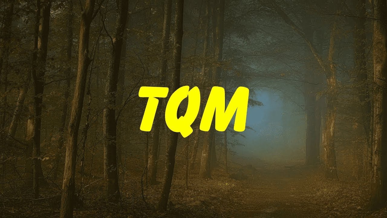 Fuerza Regida - TQM (Letra/Lyrics) - YouTube