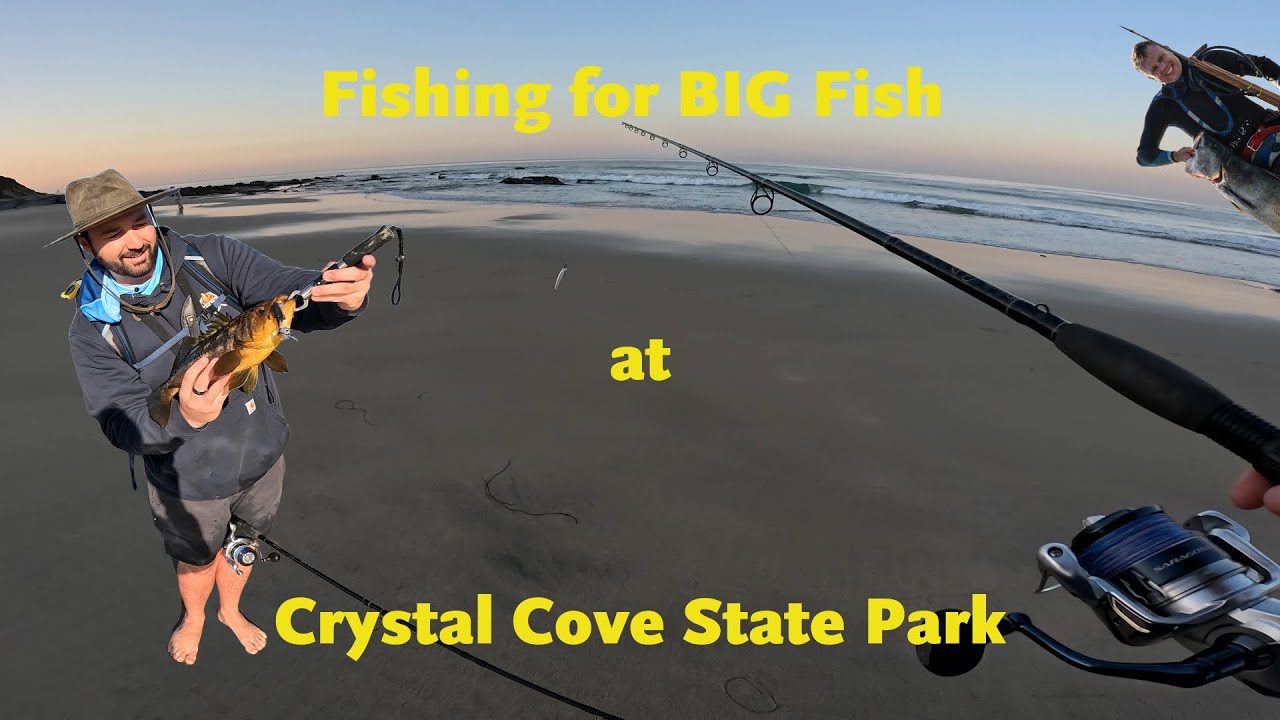 Fishing Crystal Cove State Park (MASSIVE WHITE SEABASS) - YouTube