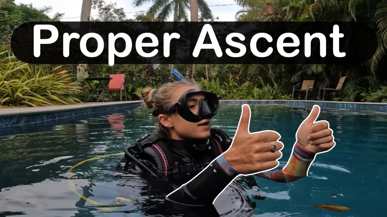 How to do a Proper Ascent - PADI Open Water Diver, Confined Water #1 ...
