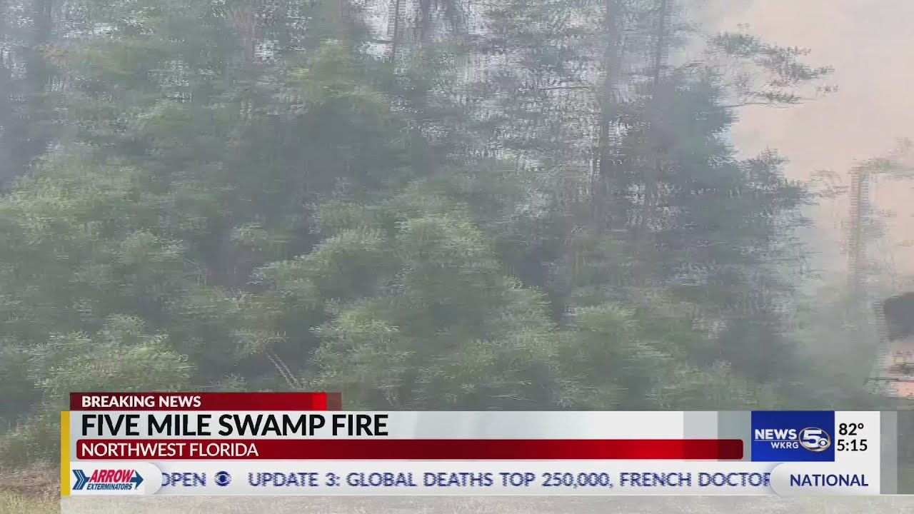 Five Mile Swamp Fire - YouTube