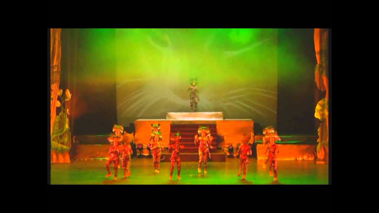 Aída Julieta Camacho Baile "GATAS" ACADEMIA AMADA'S DANCE - YouTube